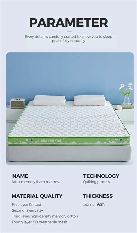 Bitinnov Luxury Anti Mite Queen Queen Size Latex Gel Memory Foam