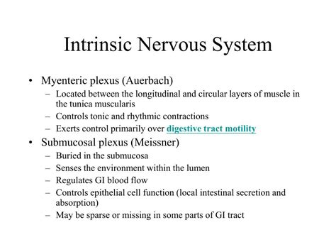 Ppt Understanding The Autonomic Nervous System In Detail Powerpoint