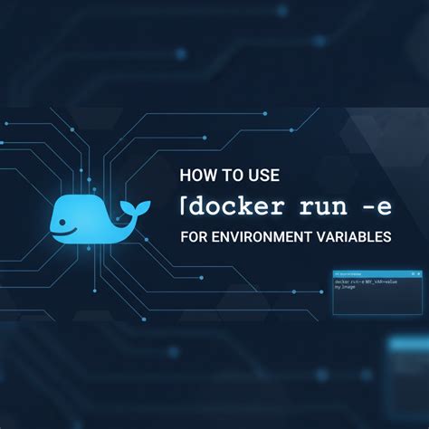 How To Use `docker Run E` For Environment Variables