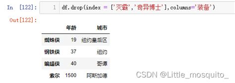数据清洗：pandas1 Csdn博客