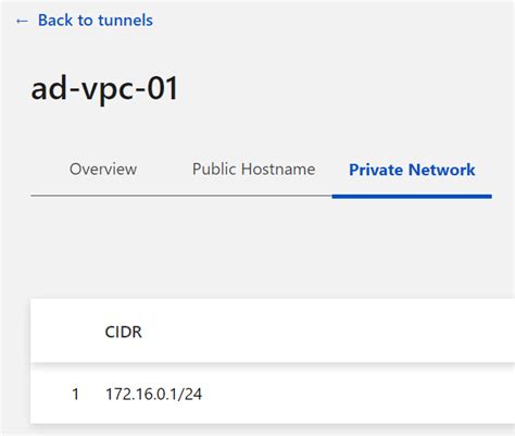 🐛 Private Networking Not Working · Issue 824 · Cloudflarecloudflared
