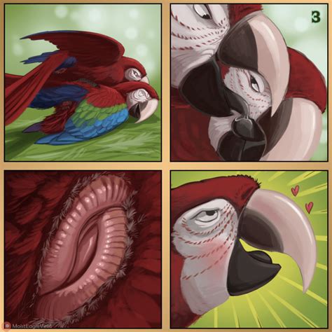 Rule 34 Animal Genitalia Avian Barnibu Beak Bird Blue Body Blue