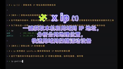 X Cmd Mod 🧩 Zh X Ip 1 一键获取本机和局域网 Ip 地址，分析公网地理位置，快速局域网扫描活动设备 Youtube