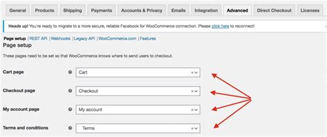 How To Fix Woocommerce Shop Page Not Showing Products