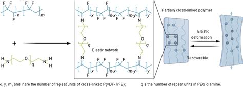 Ferroelectric Polymers Take A Step Toward Bioelectronics Science