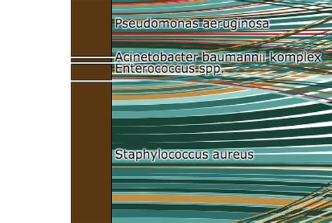 Place Sankey Node Labels On The Outside Of The Plot Plotlyjs