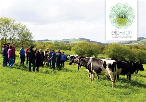 Profitability Of Permanent Grassland Eip Agri Super G