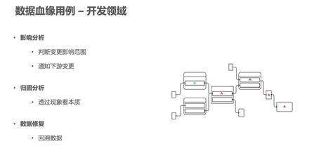 火山引擎 Dataleap 数据血缘技术建设实践 脉脉