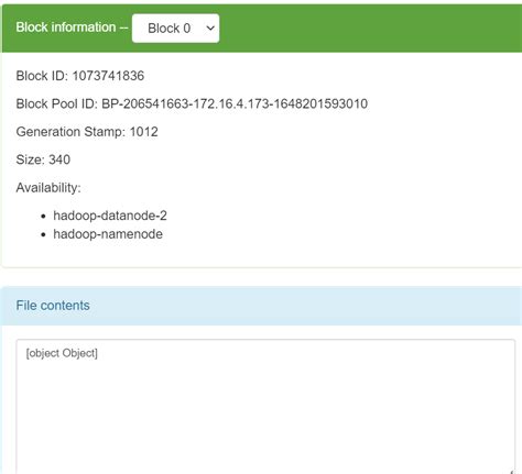 hadoop why after put command in hdfs the new file seems to be empty