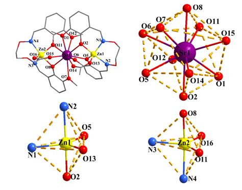 Molecule Structure And Atoms Numberings Of The Complex 1 Hydrogen Download Scientific Diagram