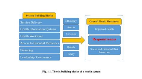 Responsiveness Of Health Systems Ppt