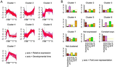 clustering of transcription factor expression patterns in c elegans