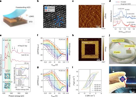 Freestanding Hafnium Zirconium Oxide Membranes Can Enable Advanced 2d