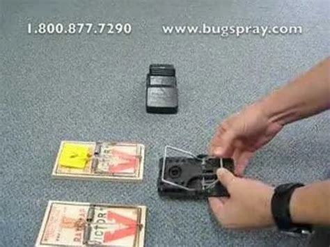 How To Set A Rat Trap Safely Housekeeping WonderHowTo