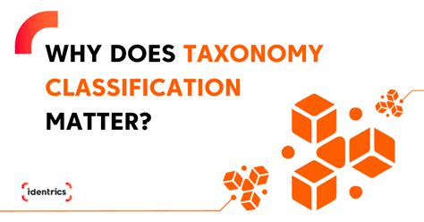 The Power Of Data Taxonomy Classification Why It Matters