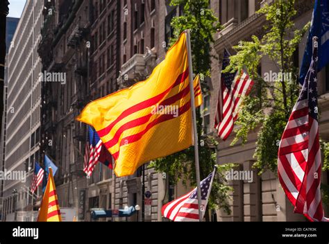 Vietnam Flag Vietnam War North Vietnamese Peoples Army Flag 100