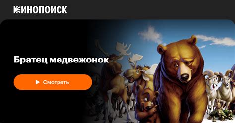 Братец медвежонок — смотреть онлайн — Кинопоиск