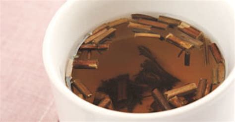 건강약차 입 냄새 심할땐 박하차 드세요