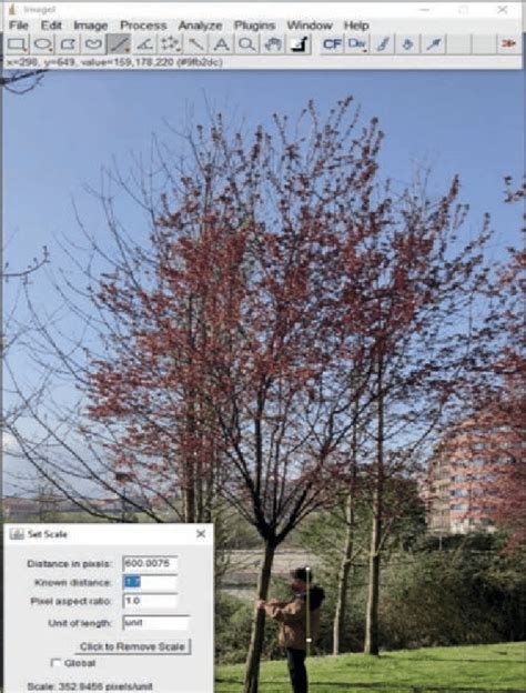 Medición De Parámetros Biométricos De Un Prunus Cerasifera Mediante El