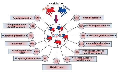 Hybridization Effect At Joseph Florence Blog