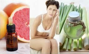 T De Guayaba Para Eliminar El Flujo Vaginal De Raiz Te Lo Recomiendo Comentando La Biblia