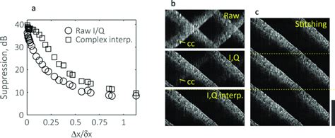 Complex Interpolation A Measured Suppression Before Circles And Download Scientific