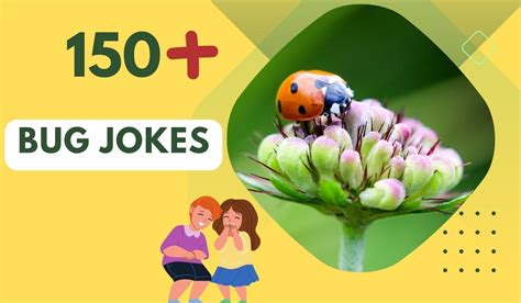 150 Bug Jokes Cure For The Common Critter