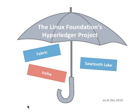 a gentle introduction to the hyperledger project bits on blocks