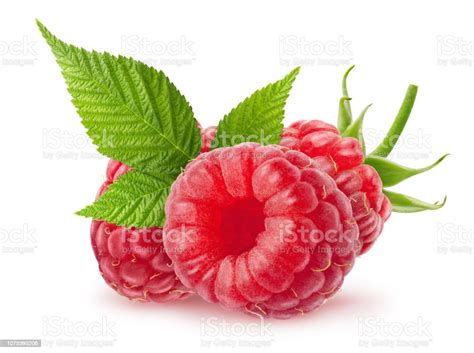 격리 된 딸기입니다 클리핑 경로와 흰색 배경에 고립 된 잎을 가진 나무 딸기 과일 0명에 대한 스톡 사진 및 기타 이미지 0