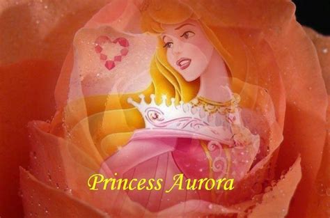 Princess Aurora Fan Art Princess Aurora Princess Aurora Princess Aurora