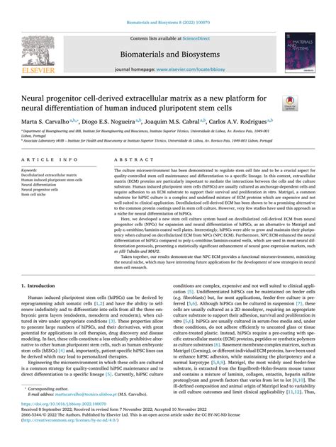 Pdf Neural Progenitor Cell Derived Extracellular Matrix As A New Platform For Neural