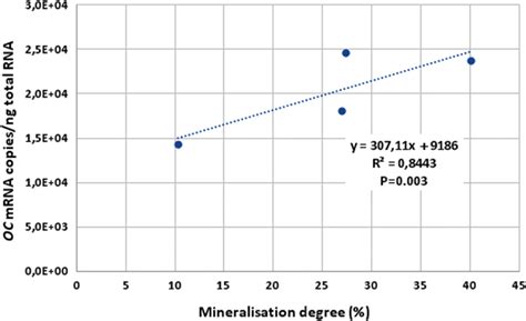 Correlation Between Oc Gene Expression Levels And Mineralization Degree Download Scientific
