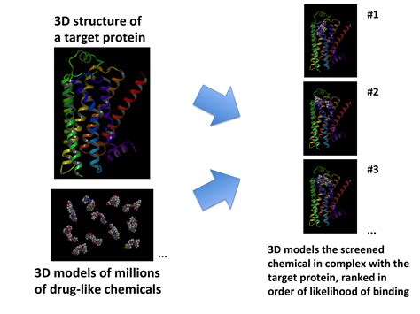 Docking And Virtual Screening Costanzi Research