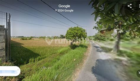 Tanah Sawah Dijual Di Gedangan Sidoarjo Harga Per Meter