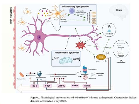 Marine Drugs Mdpi On Linkedin Neurodegenerative Ageing Neuroinflammation Seaweeds