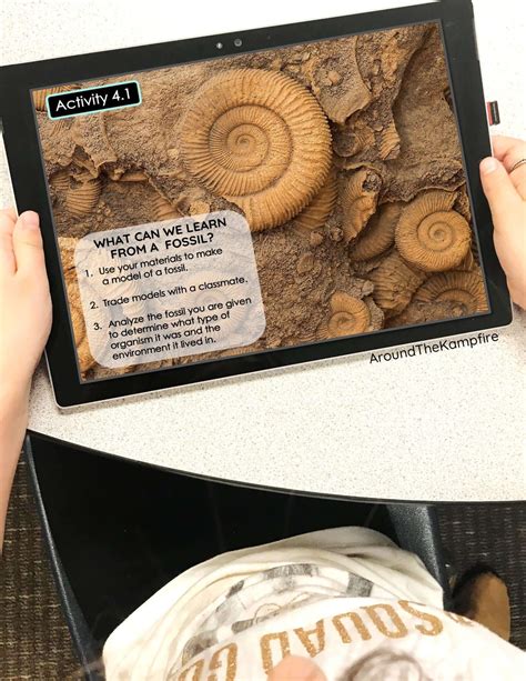 3rd Grade Fossil Record Activities And Fossil Evidence Lesson Plans Around The Kampfire