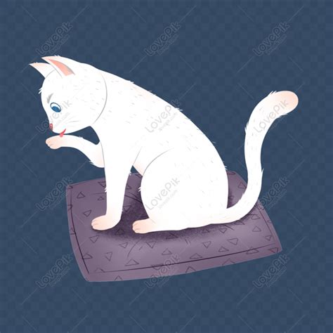 놀이 고양이 장식 패턴 요소 Png 일러스트 무료 다운로드 Lovepik