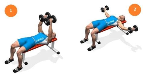 Упражнения на грудь с гантелями лучшие варианты для грудных мышц