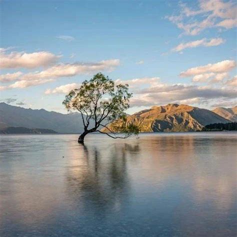 Dapr Agents 发布：支持规模化 Ai 工作流、多智能体协作codereview框架