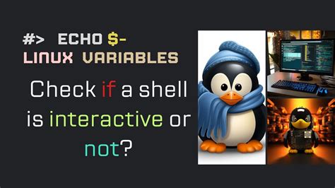 Bash Script How To Check If A Shell Is Interactive Or Not Youtube