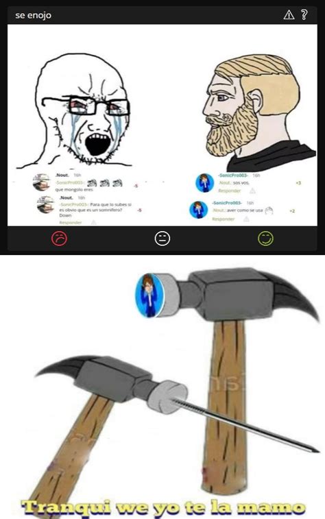 C Meme Subido Por This Cat Just J Memedroid