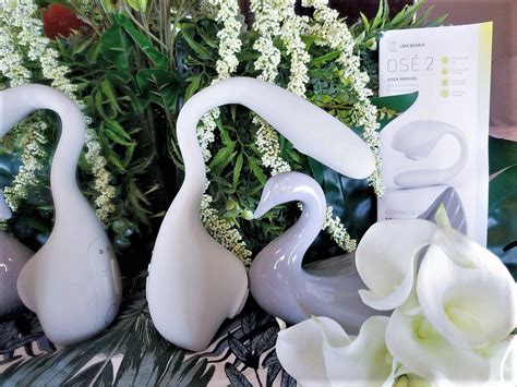 Review Lora Dicarlo Os Ces Award Winning Robotic Massager Super Smash Cache