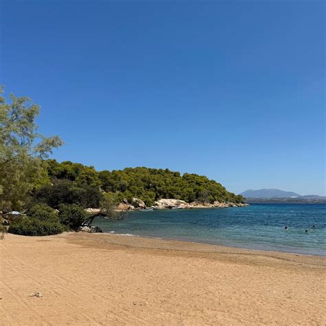 Παραλία Ζωγεριά Σπέτσες Ελλάδα Κριτικές Tripadvisor