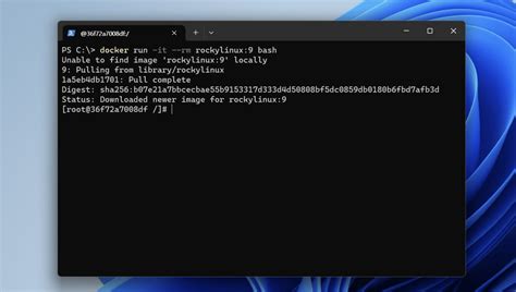 docker 가이드 컨테이너 실행과 관리