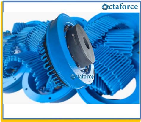 Taper Grid Spring Coupling T10 Octaforce Manufacturer And Exporter
