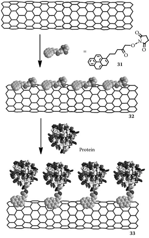 26 Noncovalent Functionalization Of Swnt N Hydroxy Download Scientific Diagram