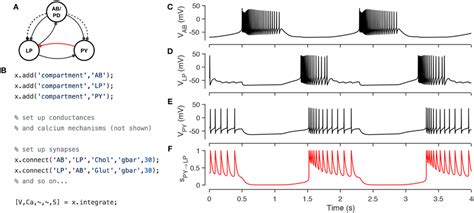 Simulating A Network Of Conductance Based Model Neurons Coupled By Download Scientific Diagram