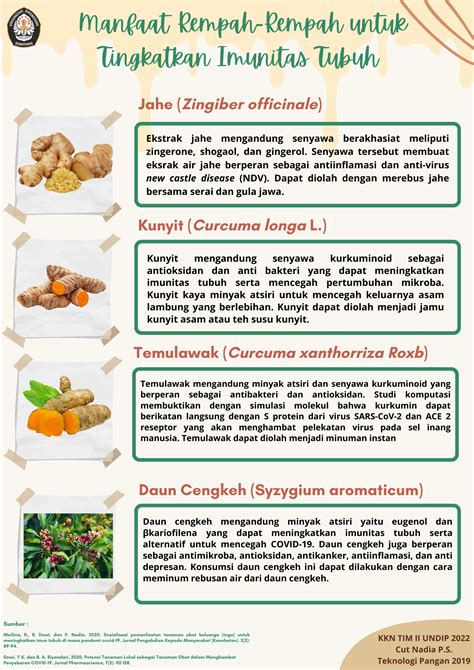 Manfaat Seledri Yang Baik Untuk Tubuh Mu Poster Hosted At ImgBB ImgBB