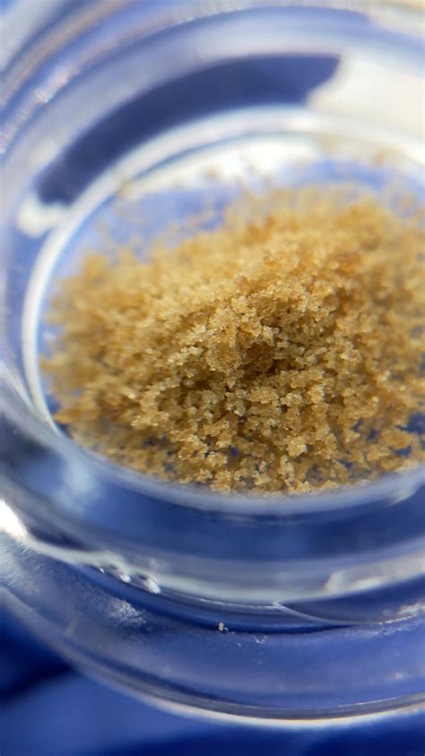 Gary Payton Runtz 90 159u Bubble Hash R Hash