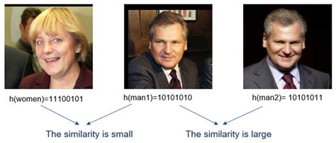 Locality Sensitive Hashing Of Soft Biometrics For Efficient Face Image